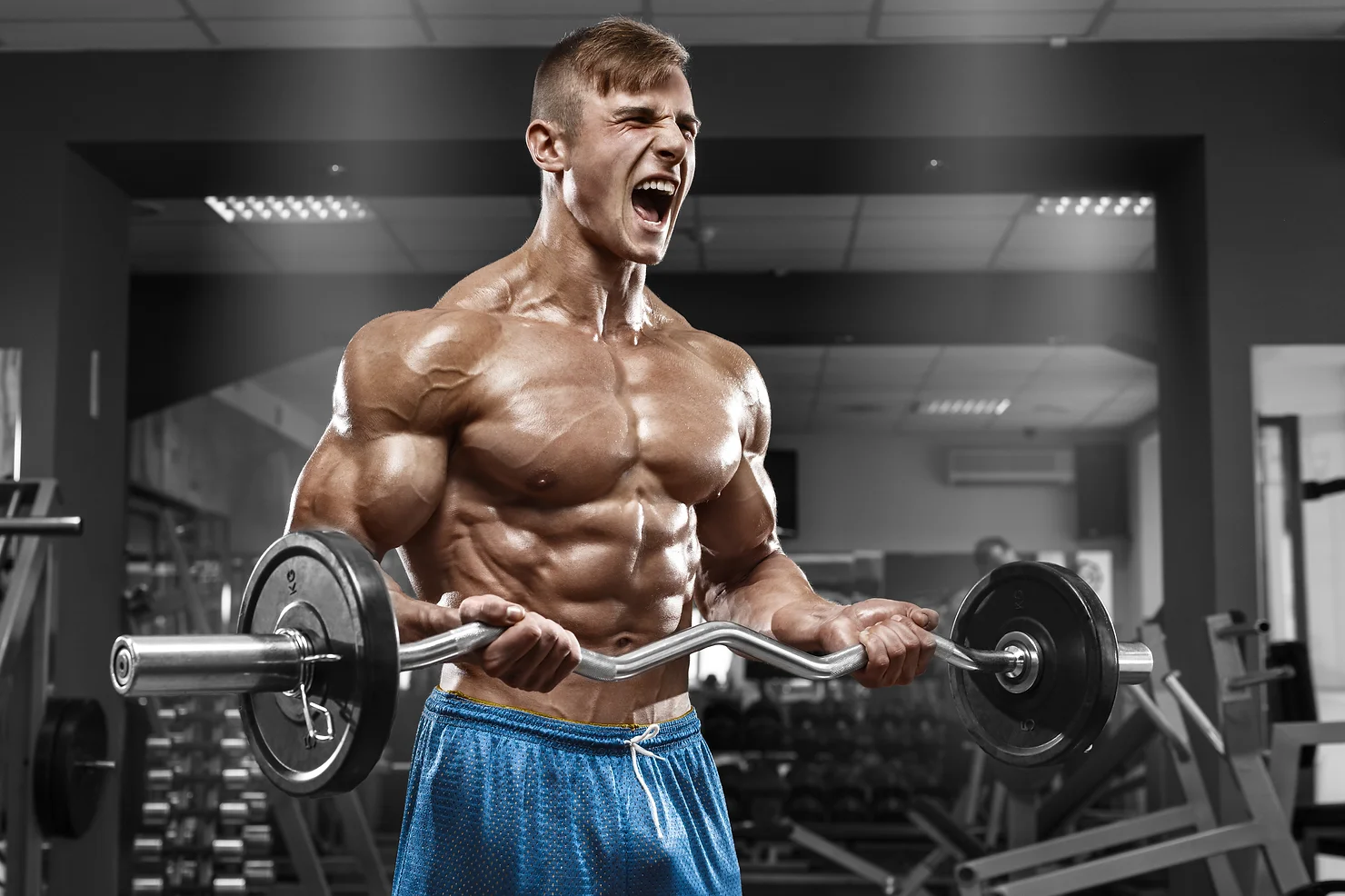 8 Best Bicep Exercises For Building Muscle Mass - Verado